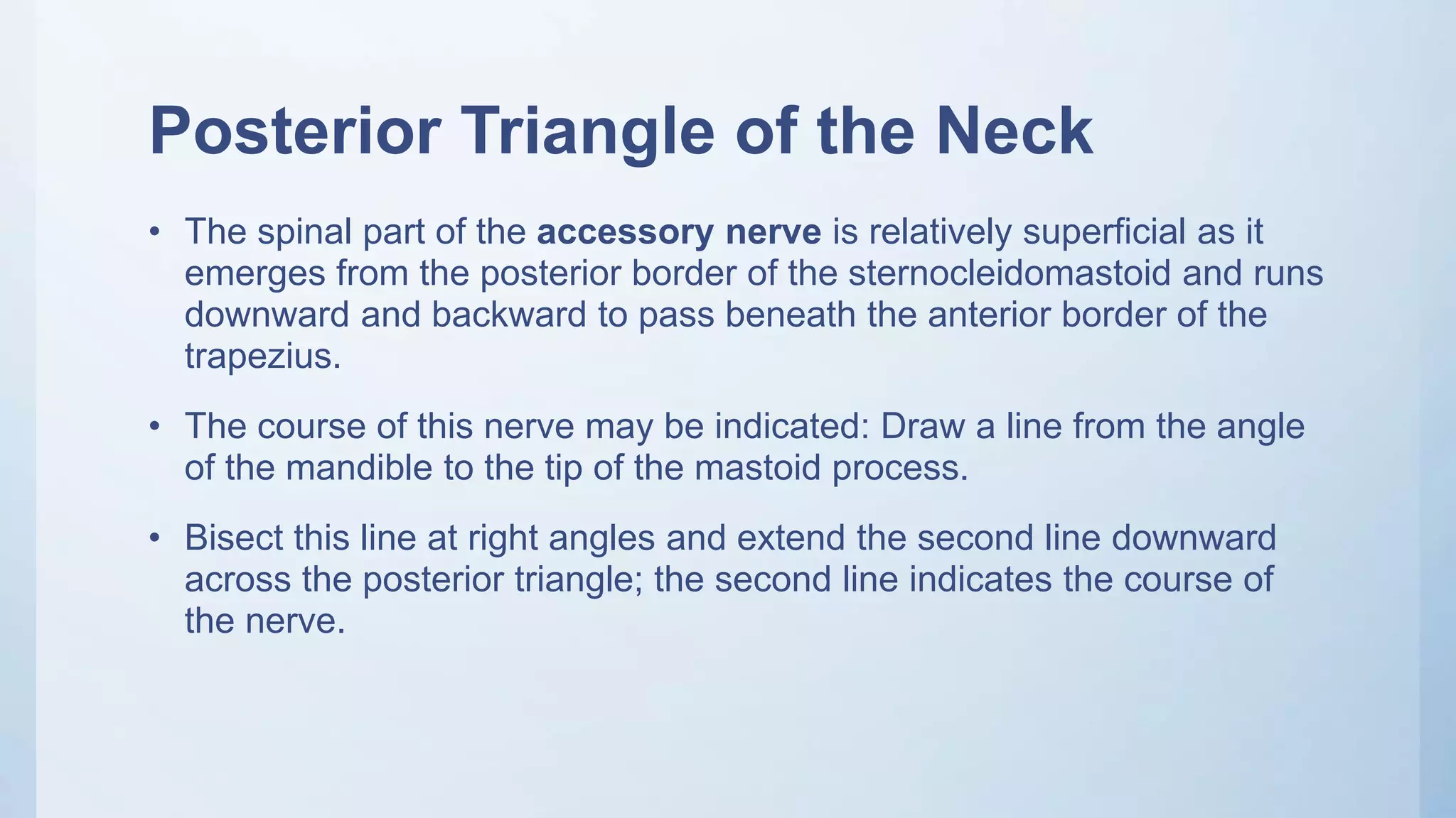 Radiographic Anatomy of the Head and Neck | PPTX