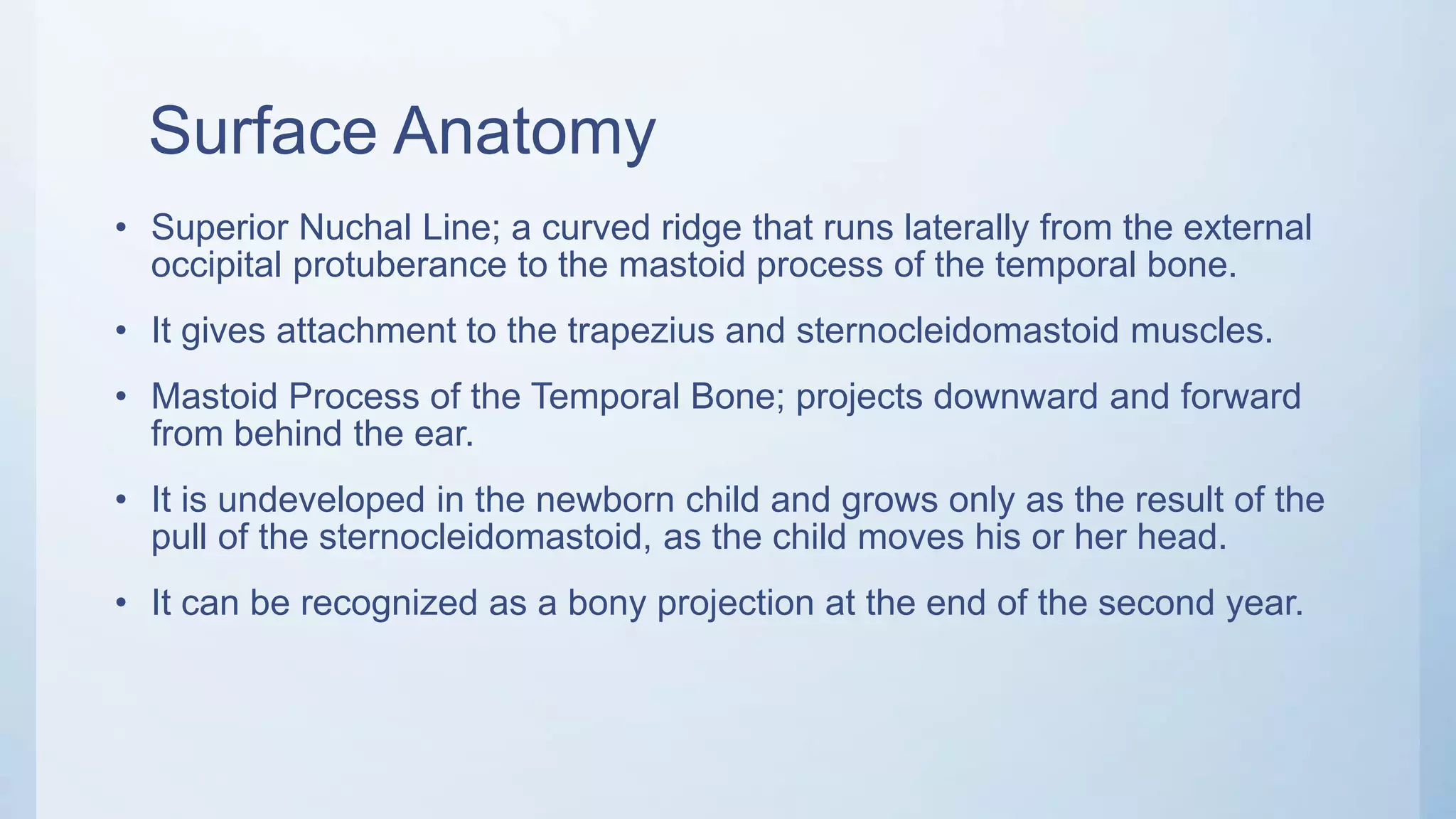 Radiographic Anatomy of the Head and Neck | PPTX