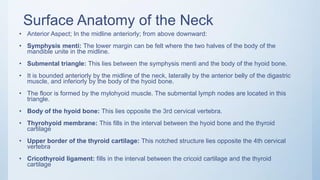 Radiographic Anatomy of the Head and Neck | PPTX