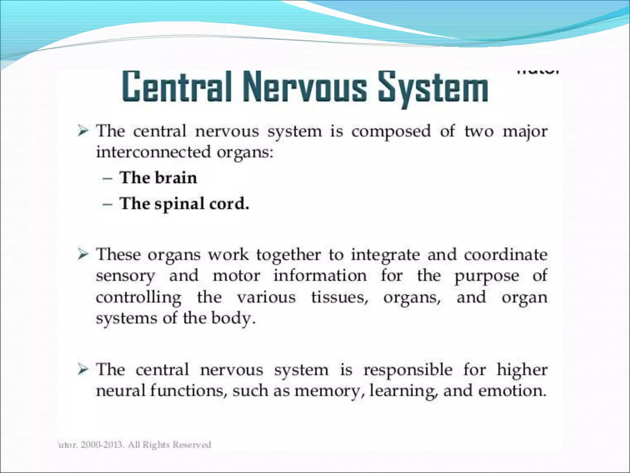 Anatomy of Nervous System | PPT