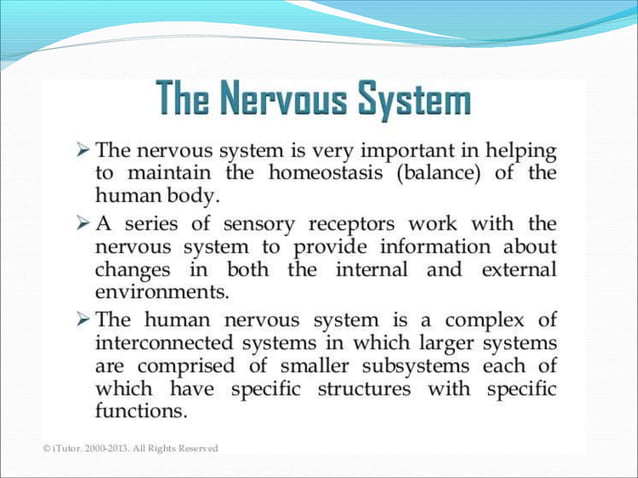 Anatomy of Nervous System | PPT