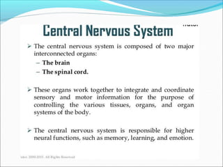 Anatomy of Nervous System | PPT
