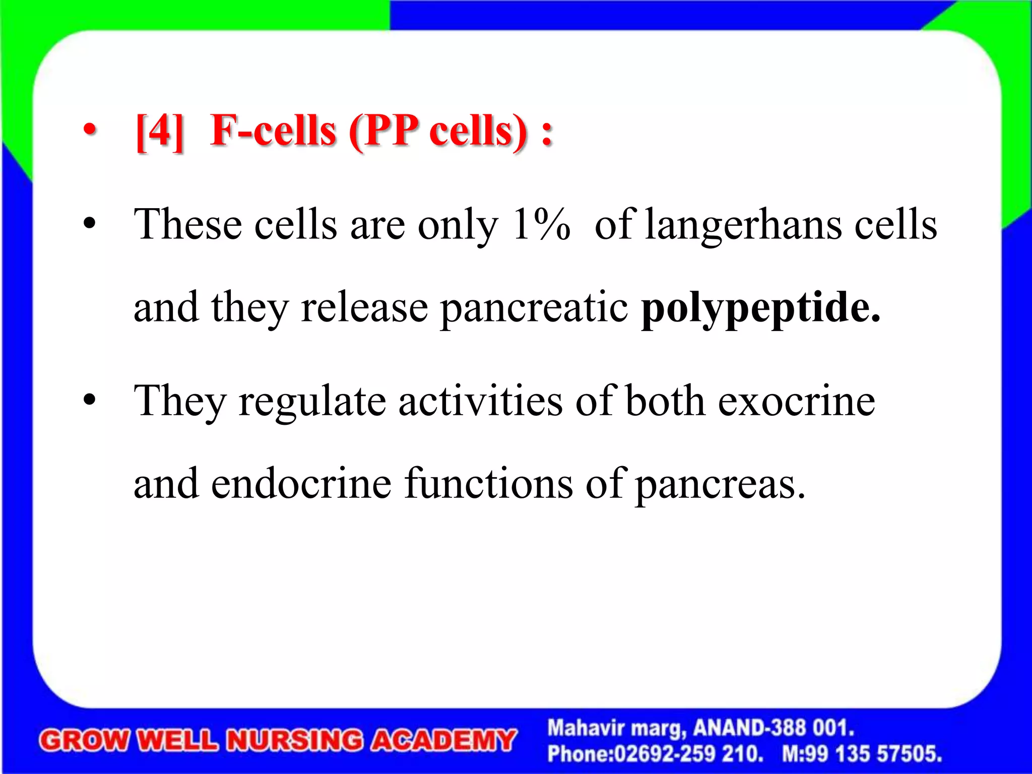 Pancreas endocrine gland | PPT