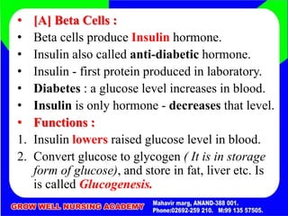 Pancreas endocrine gland | PPT