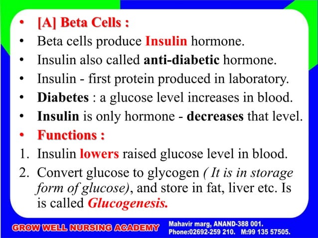 Pancreas endocrine gland | PPT | Endocrine and Metabolic Diseases ...