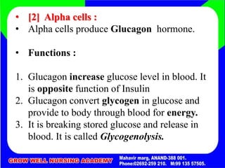 Pancreas endocrine gland | PPT