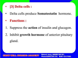 Pancreas endocrine gland | PPT
