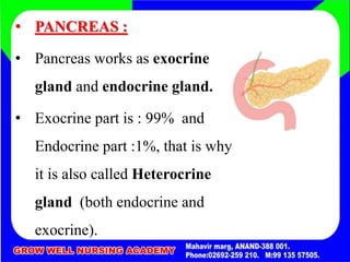 Pancreas endocrine gland | PPT