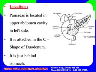 Pancreas endocrine gland | PPT