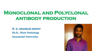 Polyclonal and monoclonal antibody production | PPT
