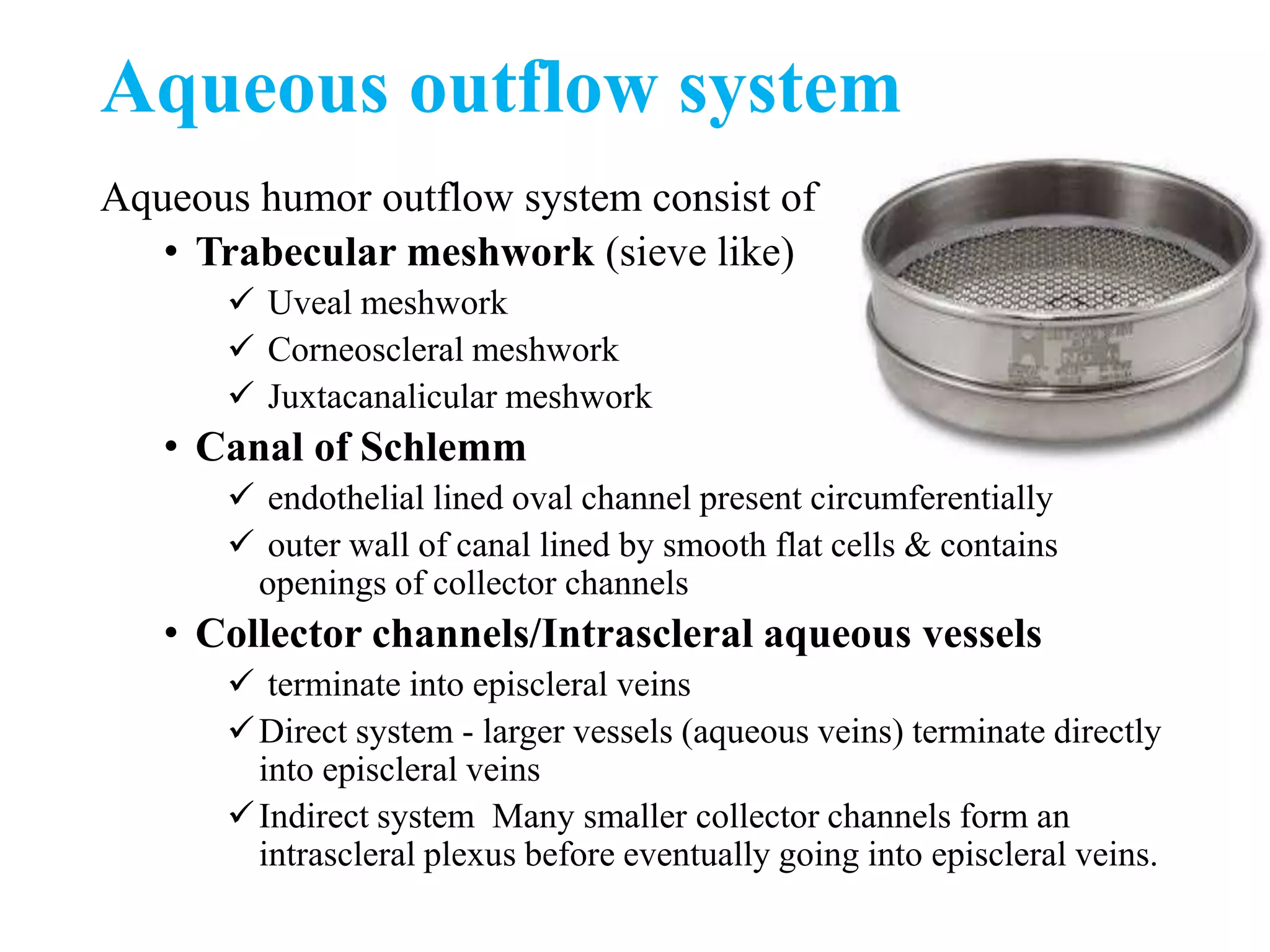 Glaucoma-Relevant Anatomy & Physiology | PPTX