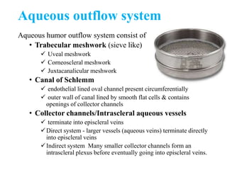 Glaucoma-Relevant Anatomy & Physiology | PPTX