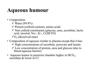 Glaucoma-Relevant Anatomy & Physiology | PPTX