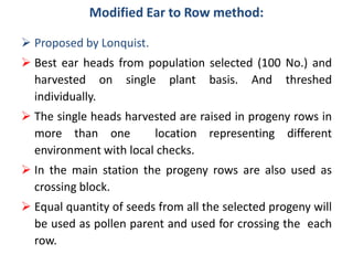 15. mass selection in cross pollinated crops | PPTX