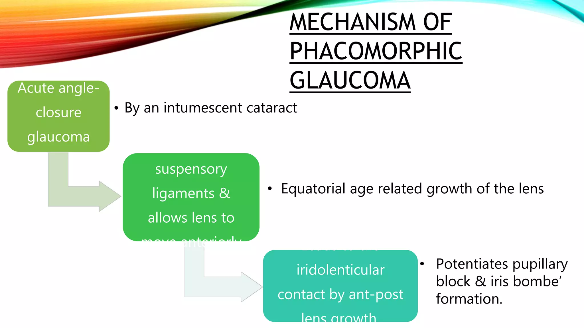 15. Secondary glaucoma.pptx