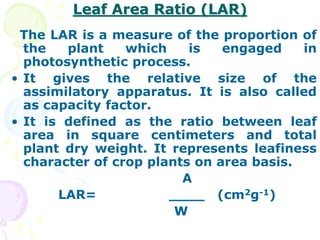 15. Growth & development.ppt | Agriculture | Industries