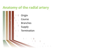 revision for first master.pptx