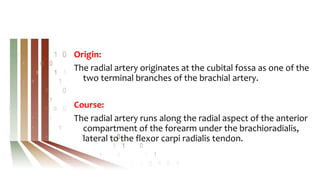 revision for first master.pptx