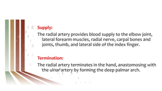 revision for first master.pptx