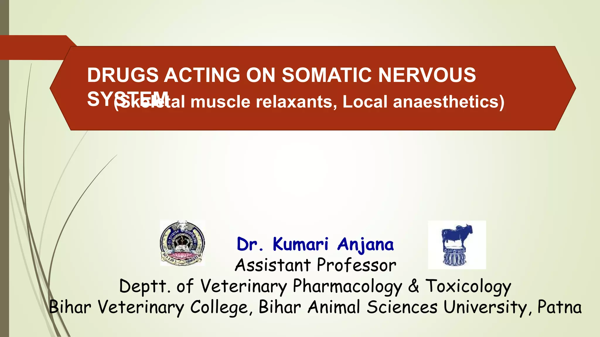 Drugs-acting-on-somatic-nervous-system.pptx