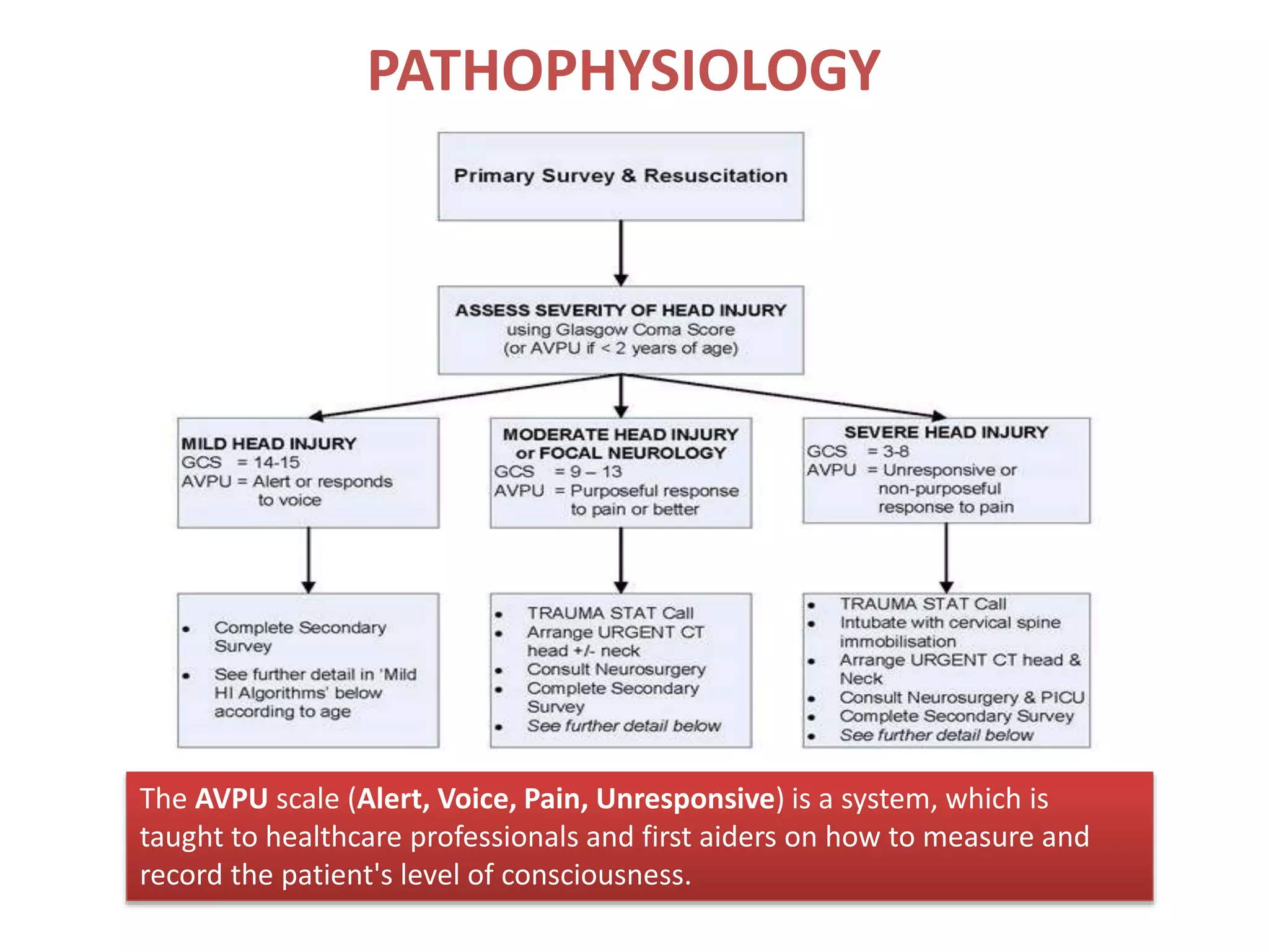 15.8 HEAD INJURY IN CHILD.pptx