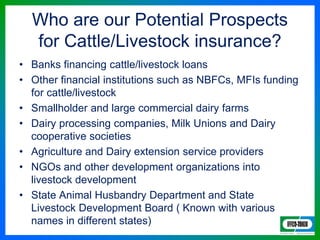 15. Cattle & Livestock_.pptx
