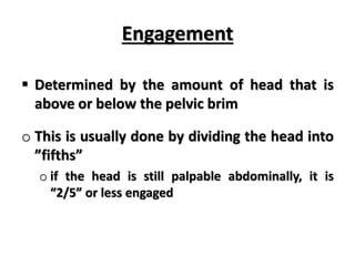 15. LEOPOLD_MANEUVERS.pptx