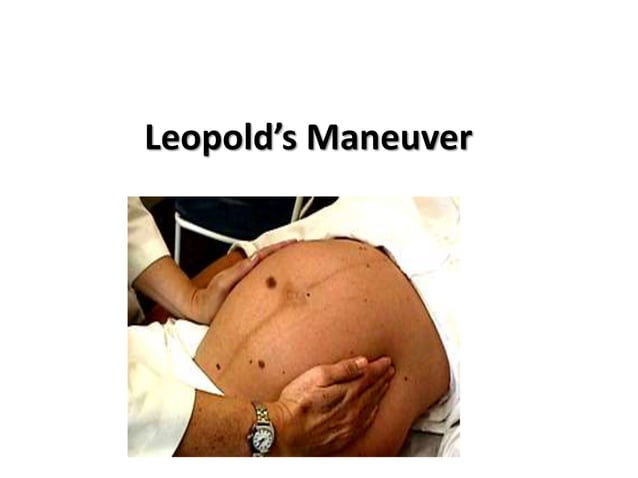 15. LEOPOLD_MANEUVERS.pptx | Pregnancy | Reproductive Health