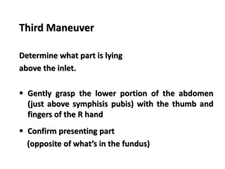 15. LEOPOLD_MANEUVERS.pptx