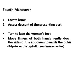 15. LEOPOLD_MANEUVERS.pptx