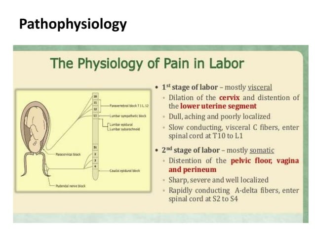 15. Labour pain Edt 7th.ppt