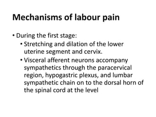 15. Labour pain Edt 7th.ppt