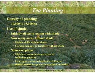15. Tea.pdf