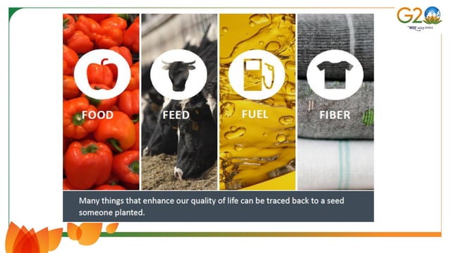 15. Smita Sirohi.pdf