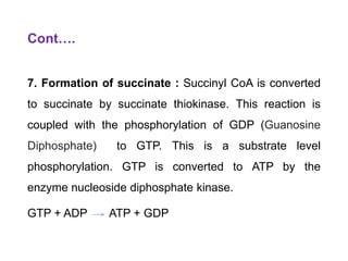 TCA cycle.pptx