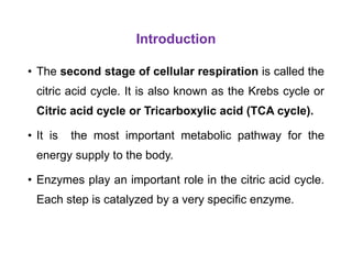 TCA cycle.pptx