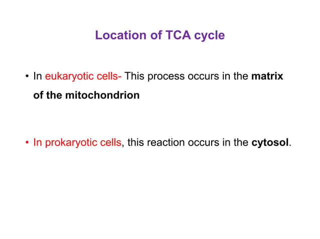 TCA cycle.pptx