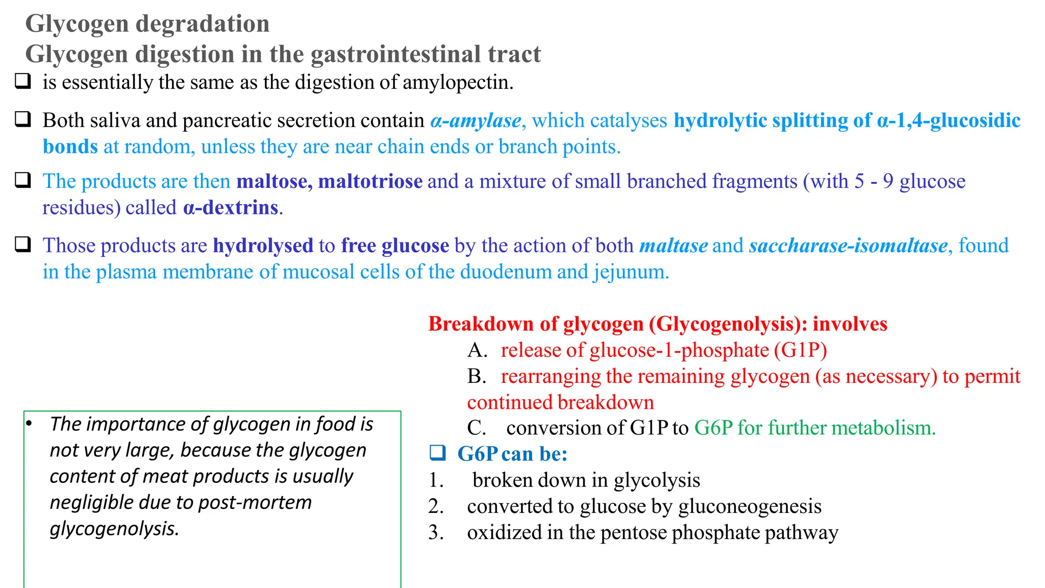 15.Glycogenesis.pptx