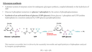 15.Glycogenesis.pptx