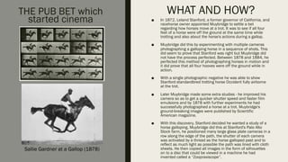15-24 - Eadweard Muybridge and the Accidental Invention of Cinema.pdf
