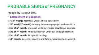 15.pregnancy+delivery.pptx