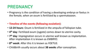 15.pregnancy+delivery.pptx