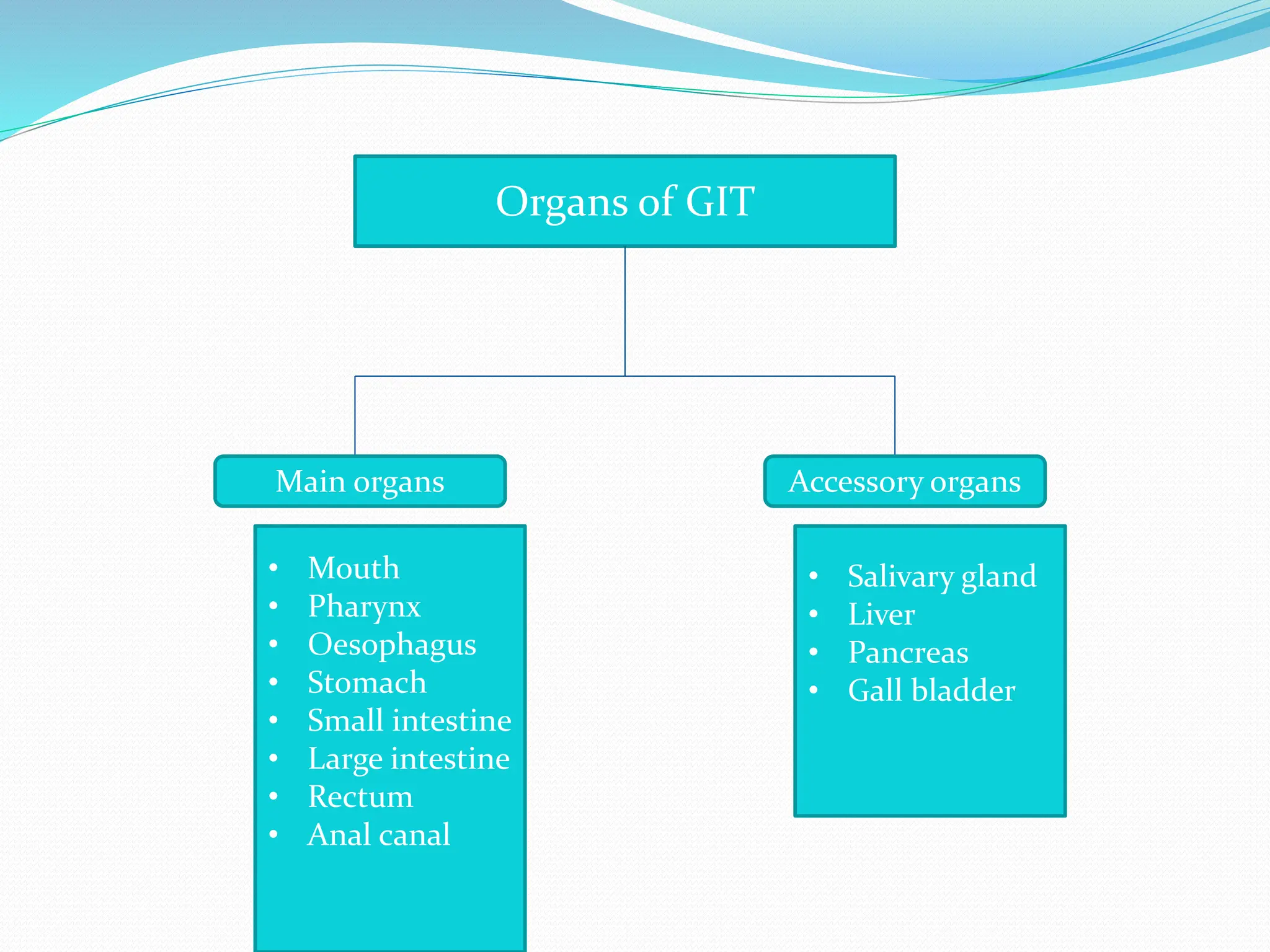 15. Gastrointestinhgvghgghhyal tract.pptx