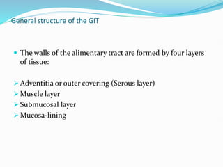 15. Gastrointestinhgvghgghhyal tract.pptx