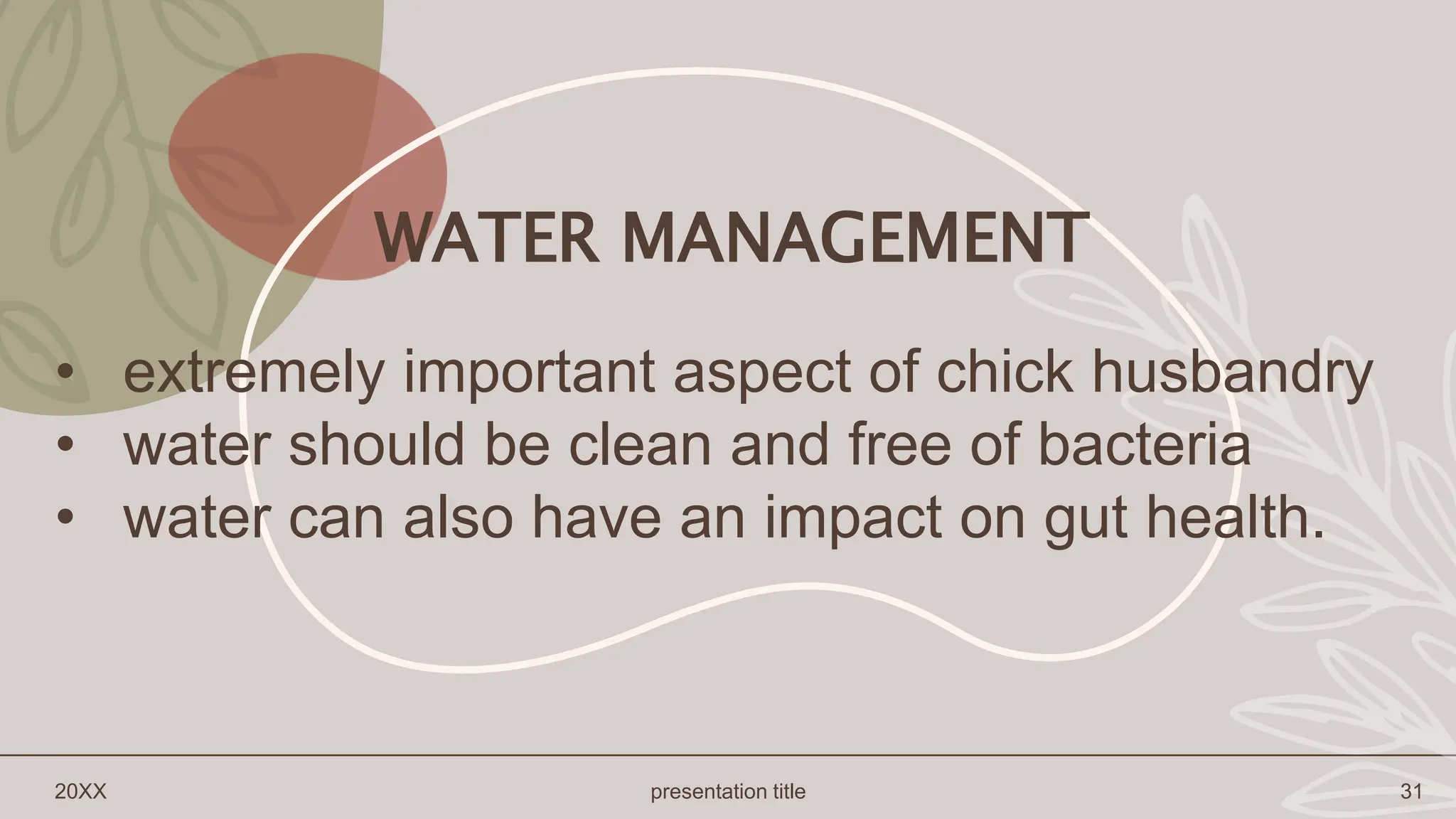 15. BROODING-CHICKS-MANAGEMENT-Organic-Agri.pptx