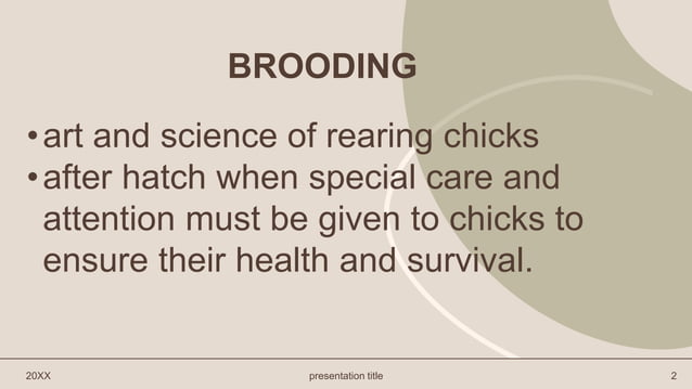 15. BROODING-CHICKS-MANAGEMENT-Organic-Agri.pptx