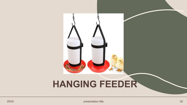 15. BROODING-CHICKS-MANAGEMENT-Organic-Agri.pptx