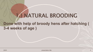 15. BROODING-CHICKS-MANAGEMENT-Organic-Agri.pptx