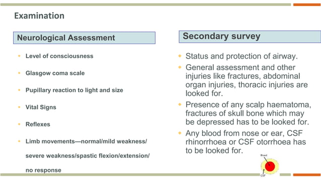 15. Head Trauma & Management (Primary Management Of Head Injury).ppt
