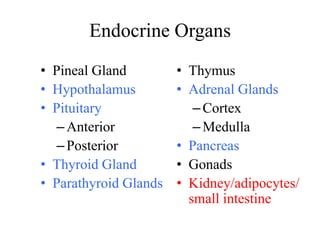 15. physiology of Endocrine system [hormones]. ppt | PPT
